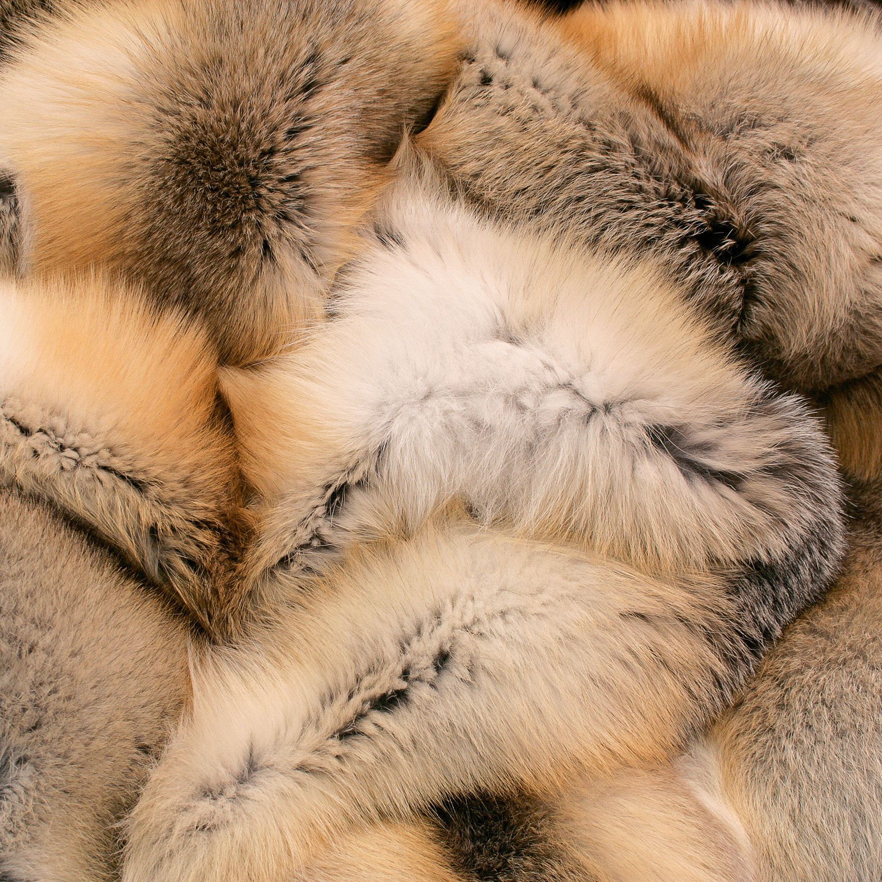 Fuchs Pelzdecken - Fuchs Felldecken: Rotfuchs, Silberfuchs